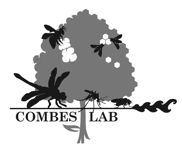 The Combes Lab – Biomechanics and Behavioral Ecology of Flying Insects